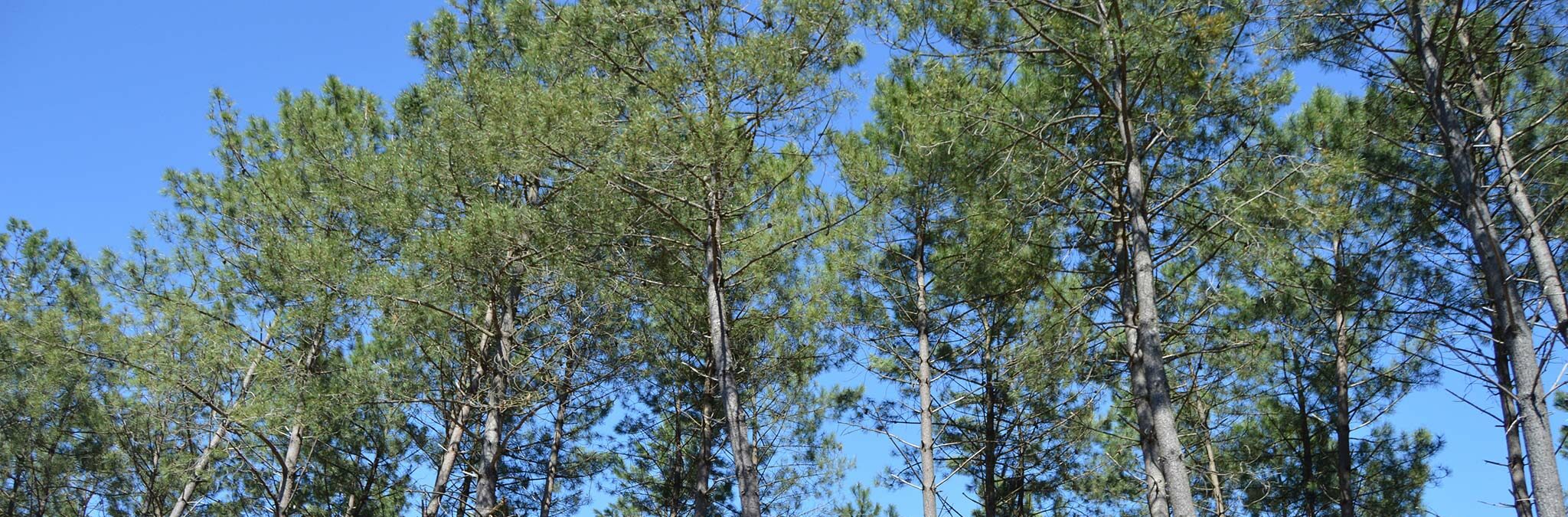 Mon compte - Hygiène Action Pin